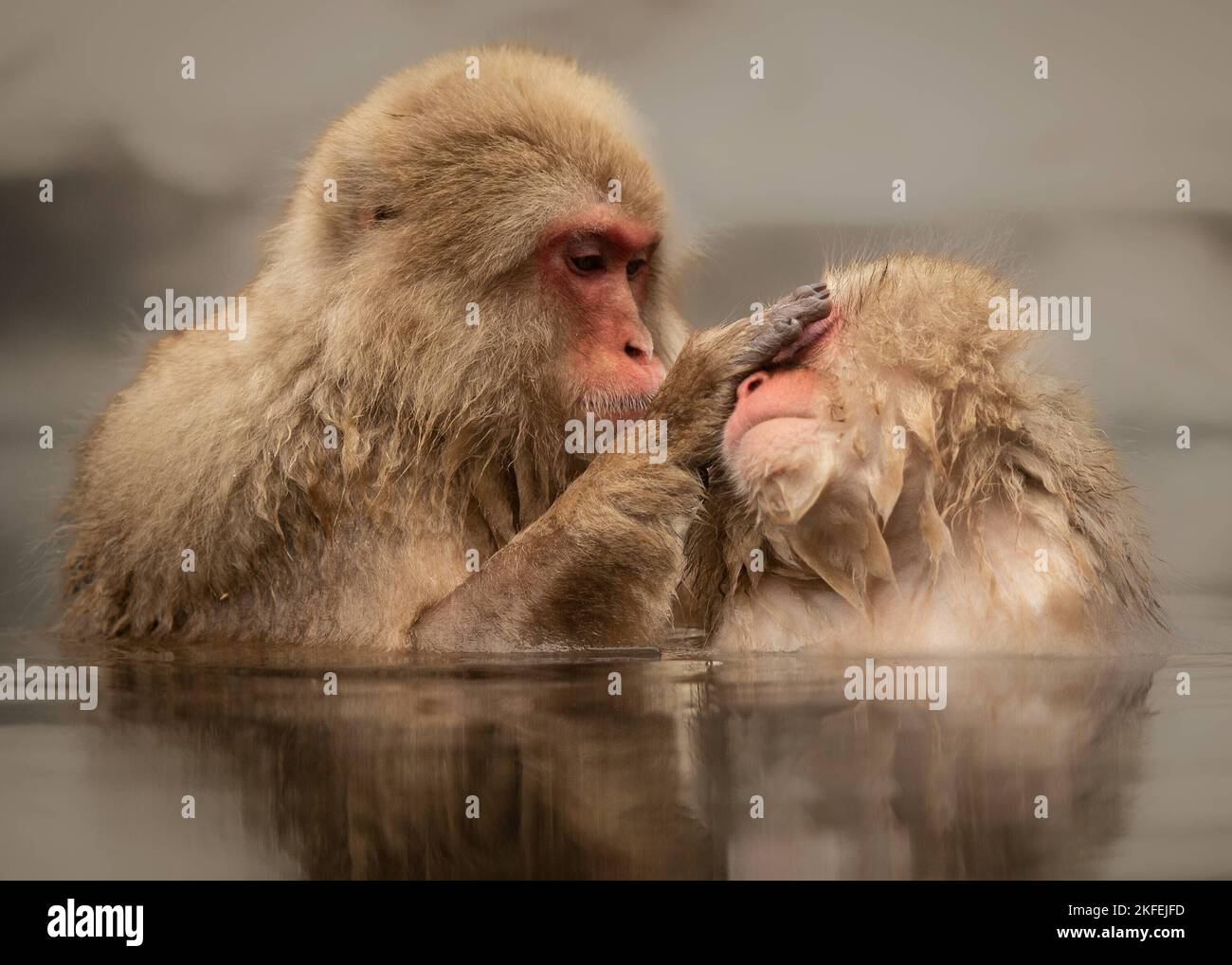 Detailed flashing hi-res stock photography and images - Alamy