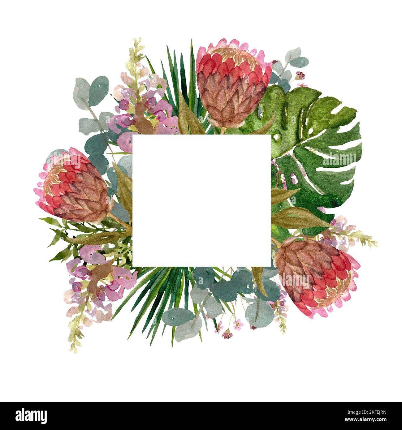 Protea flower frame hi-res stock photography and images - Alamy