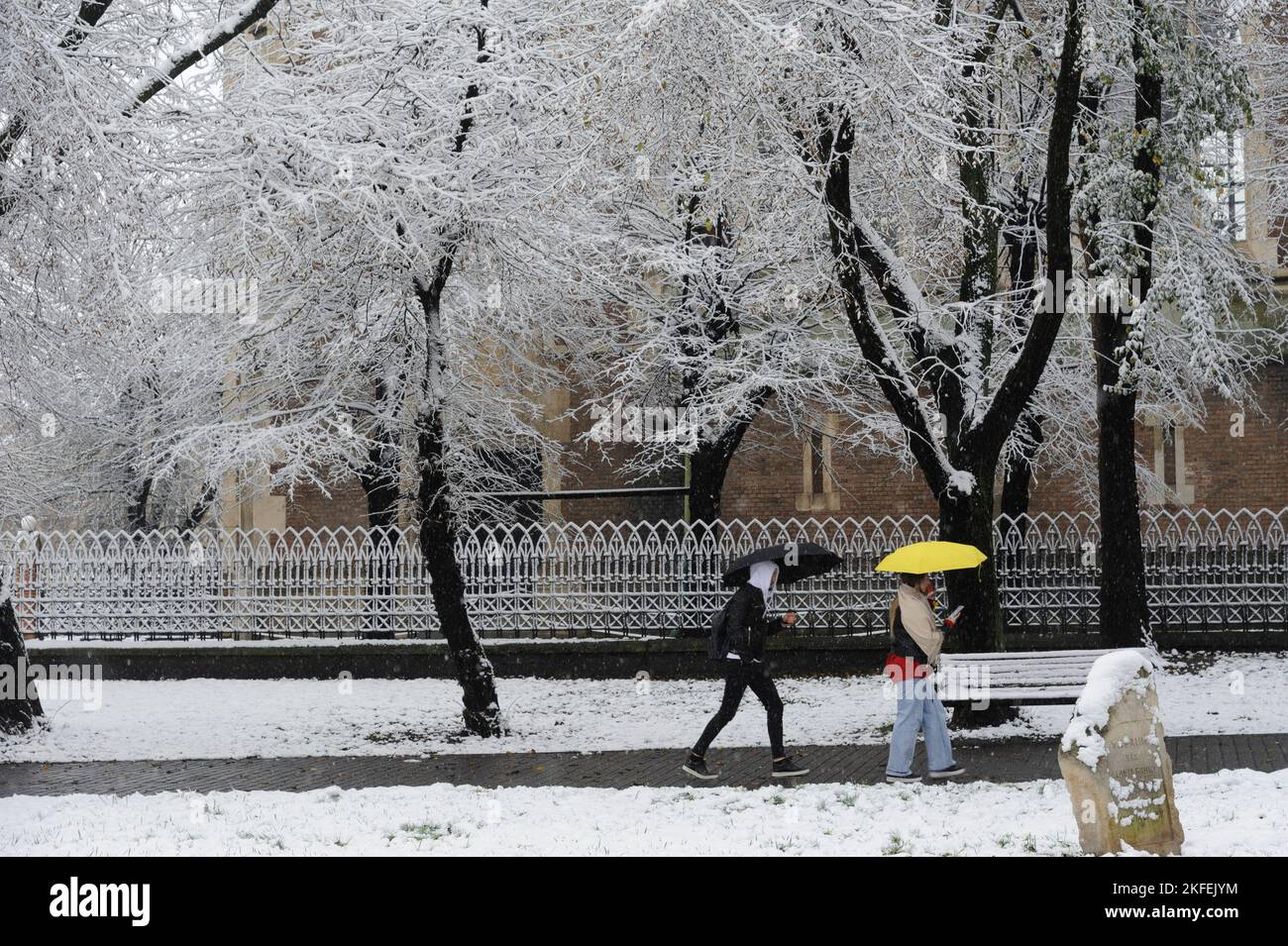 World war ii russian winter hi-res stock photography and images - Alamy