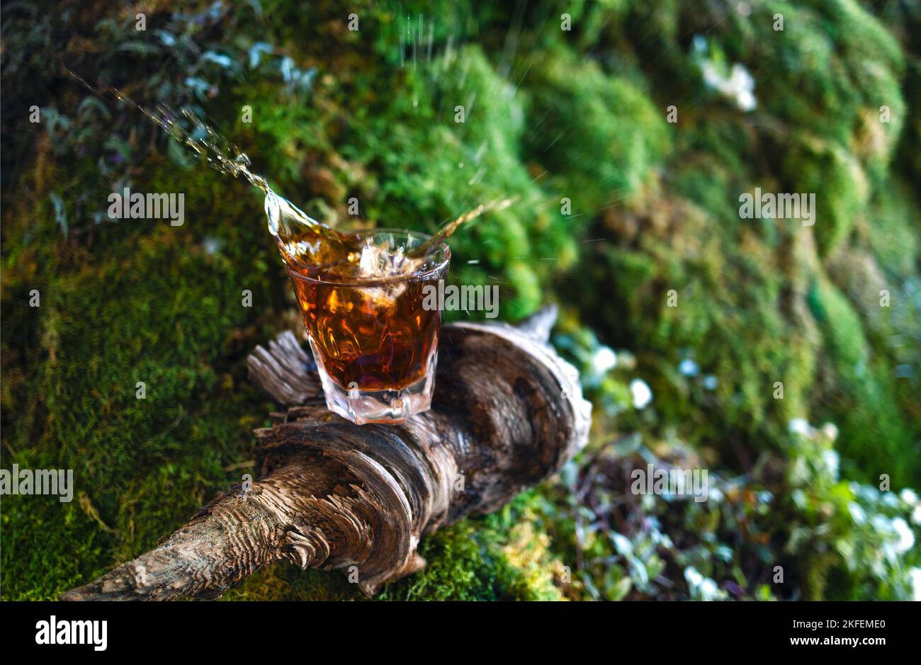 Whiskey glass on the wooden stick with nature green grass background ...