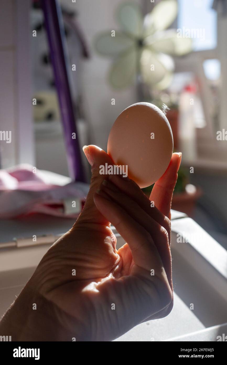 Hand with one white egg in morning contrast sunlight with window in ...