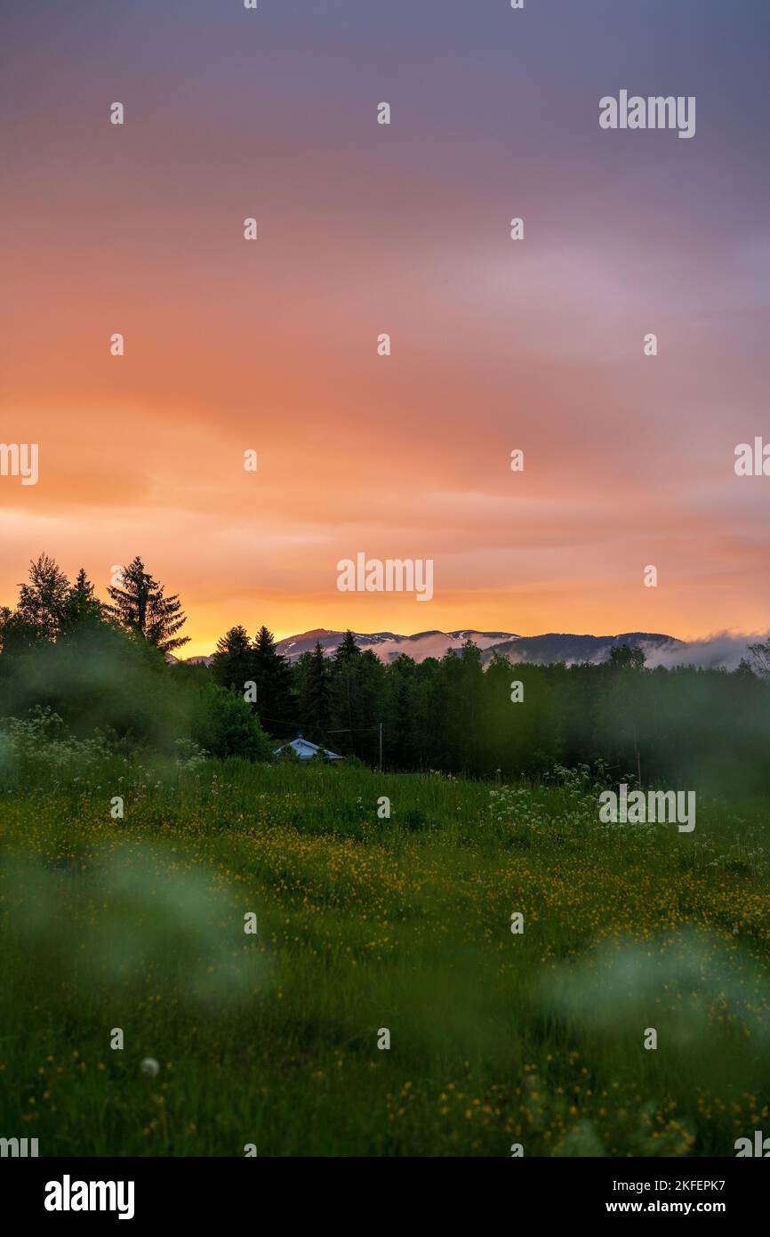 A beautiful green countryside with houses and trees against the snowy ...