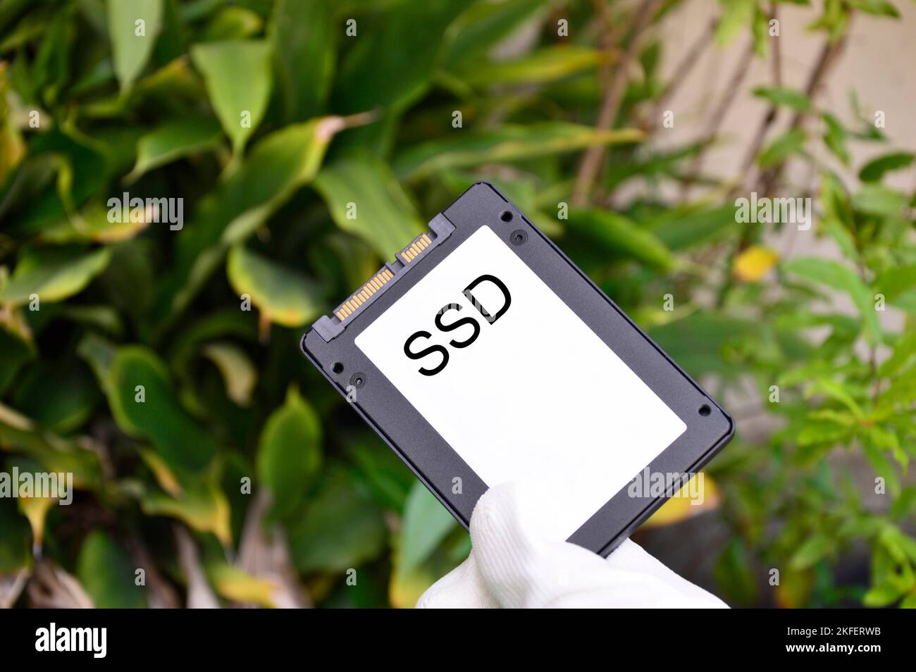 SSD is a hard disk that is more popular to use. old hard disk Stock ...