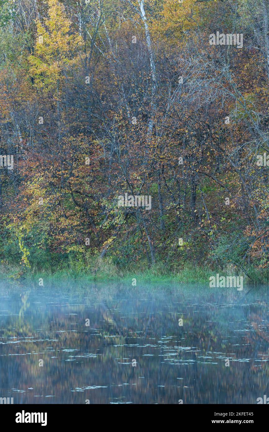 A reflective lake with a bit of fog on the water in the woods during ...