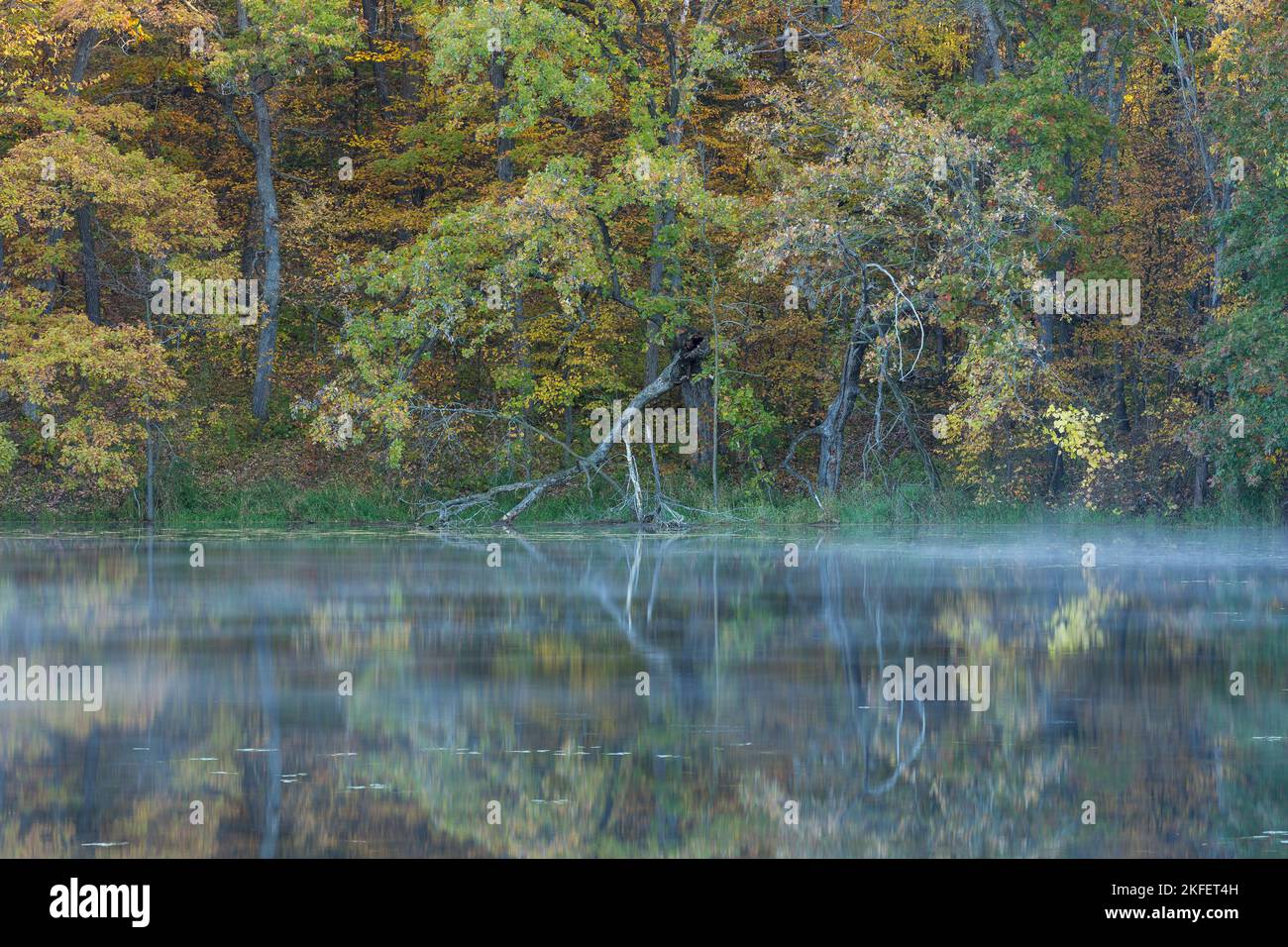 A reflective lake with a bit of fog on the water in the woods during ...
