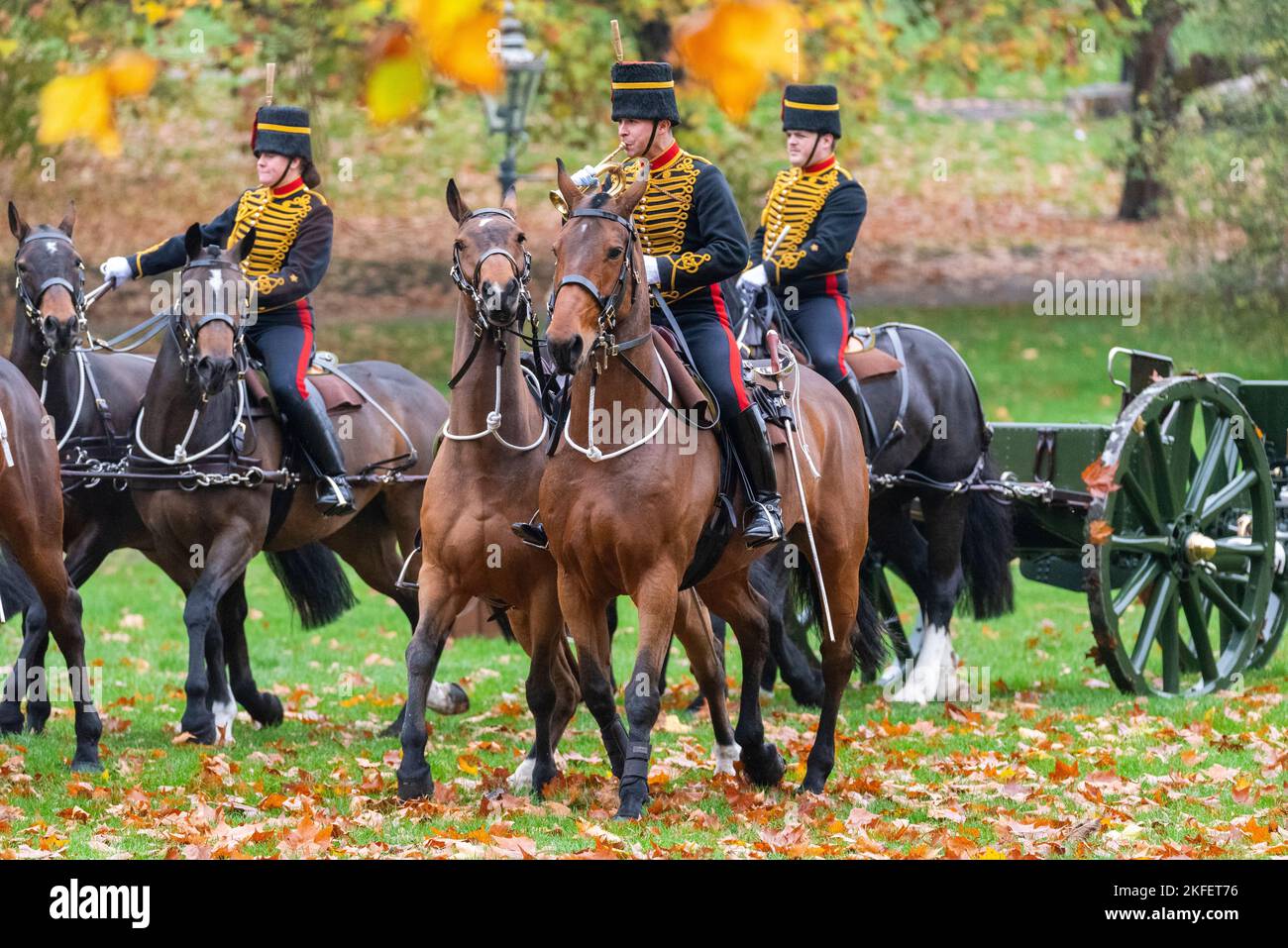 Kings Troop, Royal Horse Artillery carried out a 41 gun salute for the ...