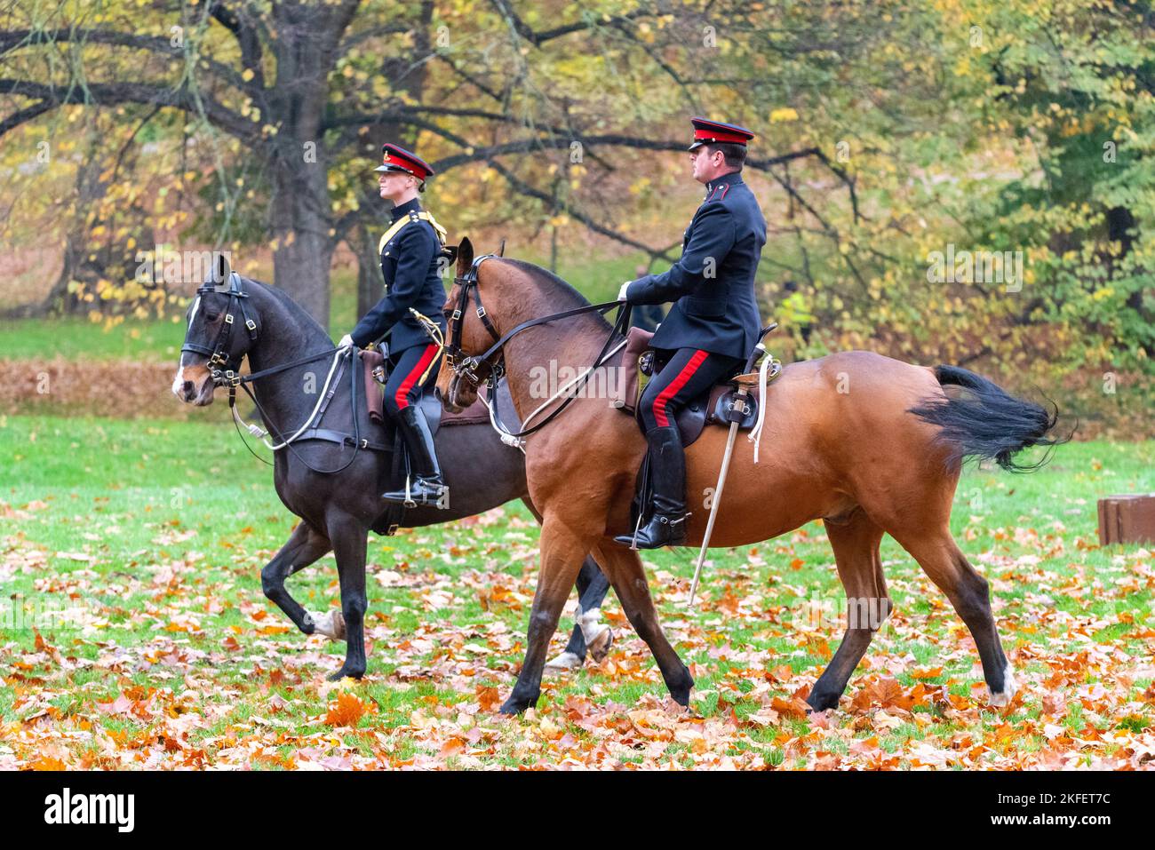 Kings Troop, Royal Horse Artillery carried out a 41 gun salute for the ...