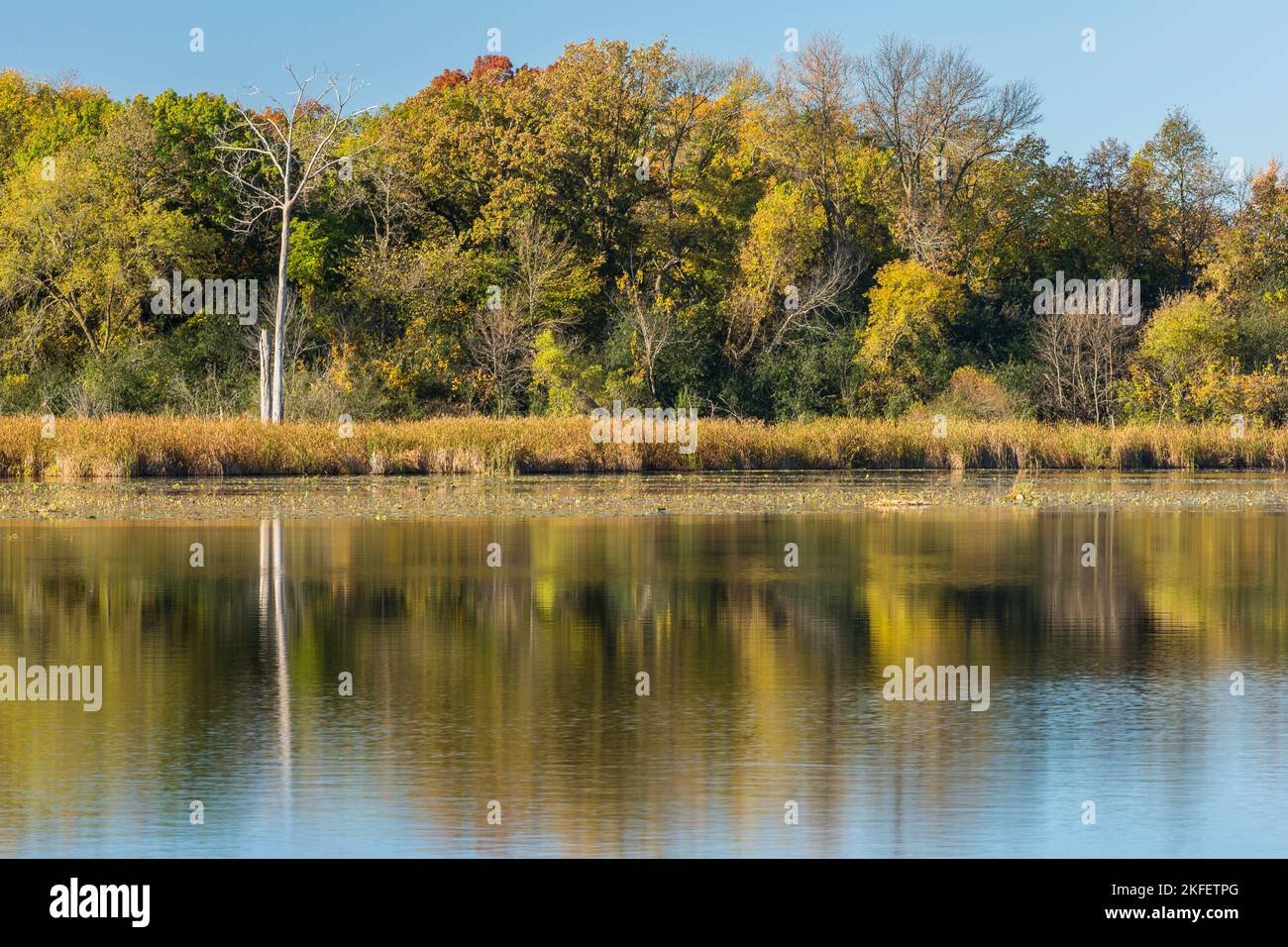 A scenic reflective lake during autumn Stock Photo - Alamy