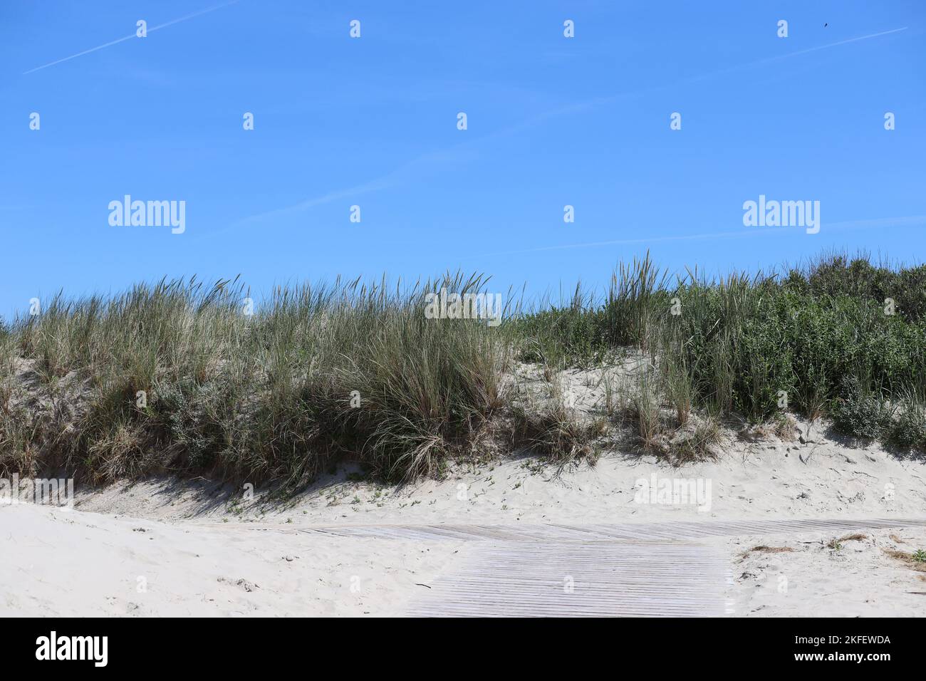 Ostfriesische insel nordsee hi-res stock photography and images - Alamy