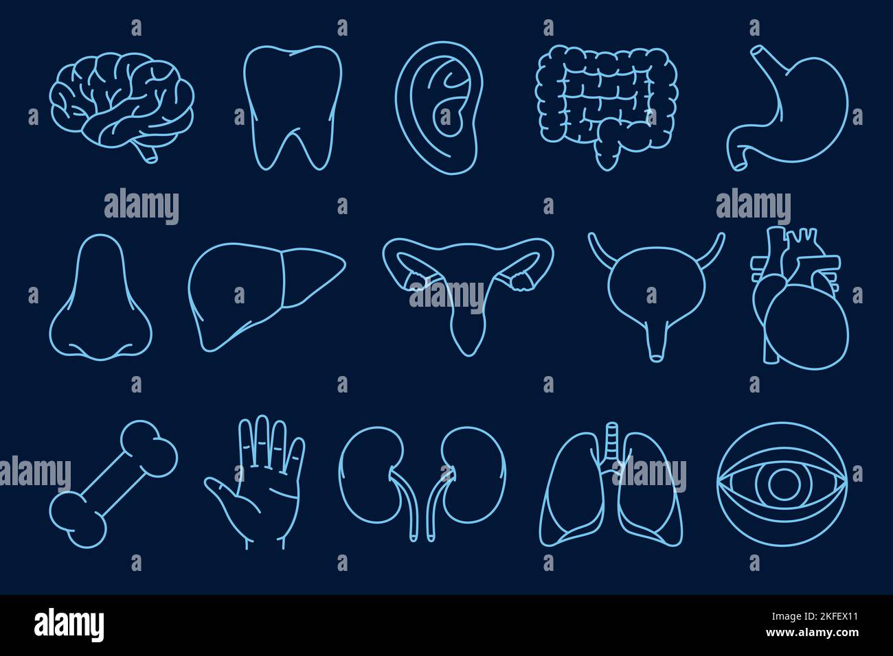 Different human organ icons. Brain, tooth, ear, intestines, stomach ...