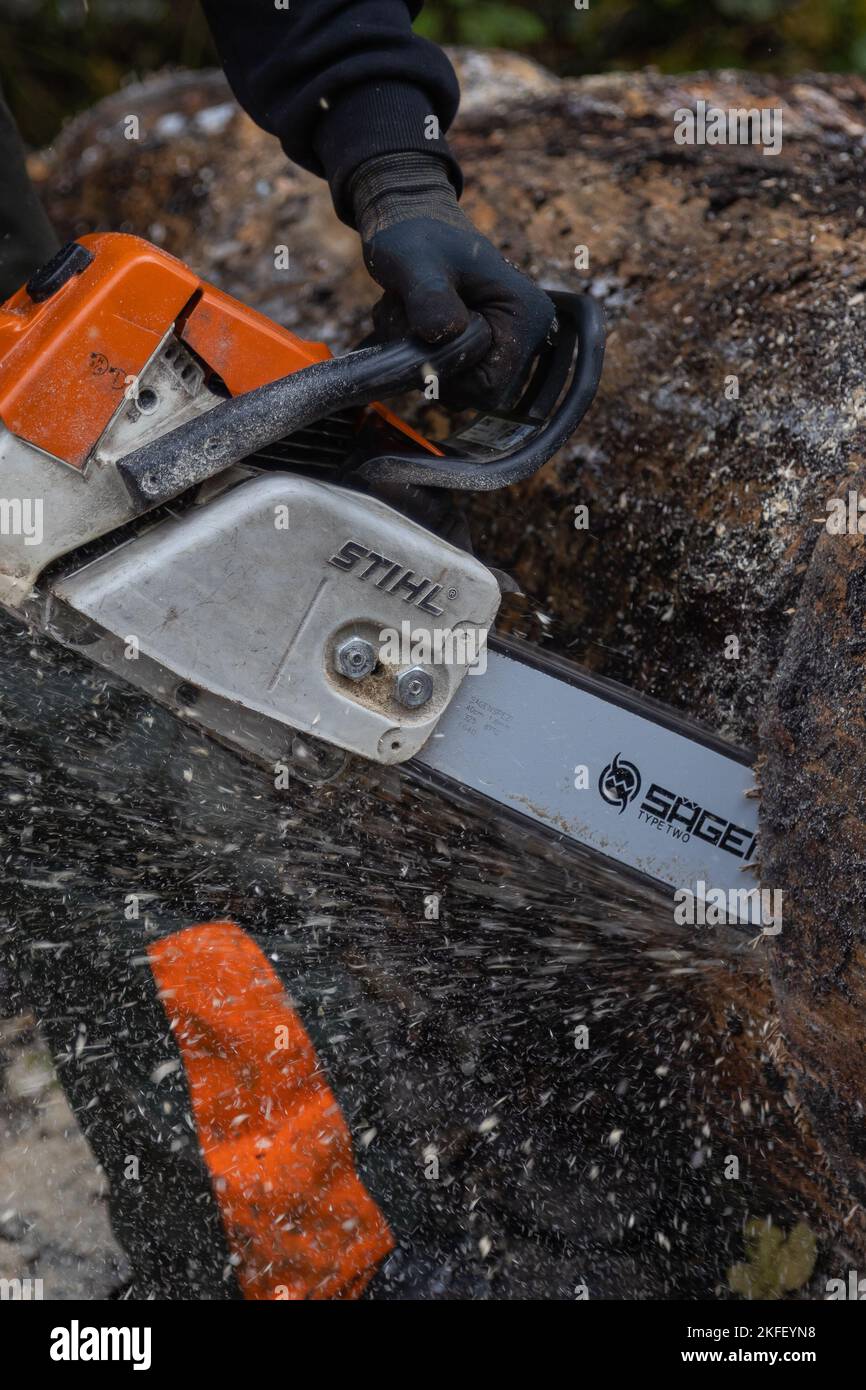 Stihl brand hi-res stock photography and images - Alamy