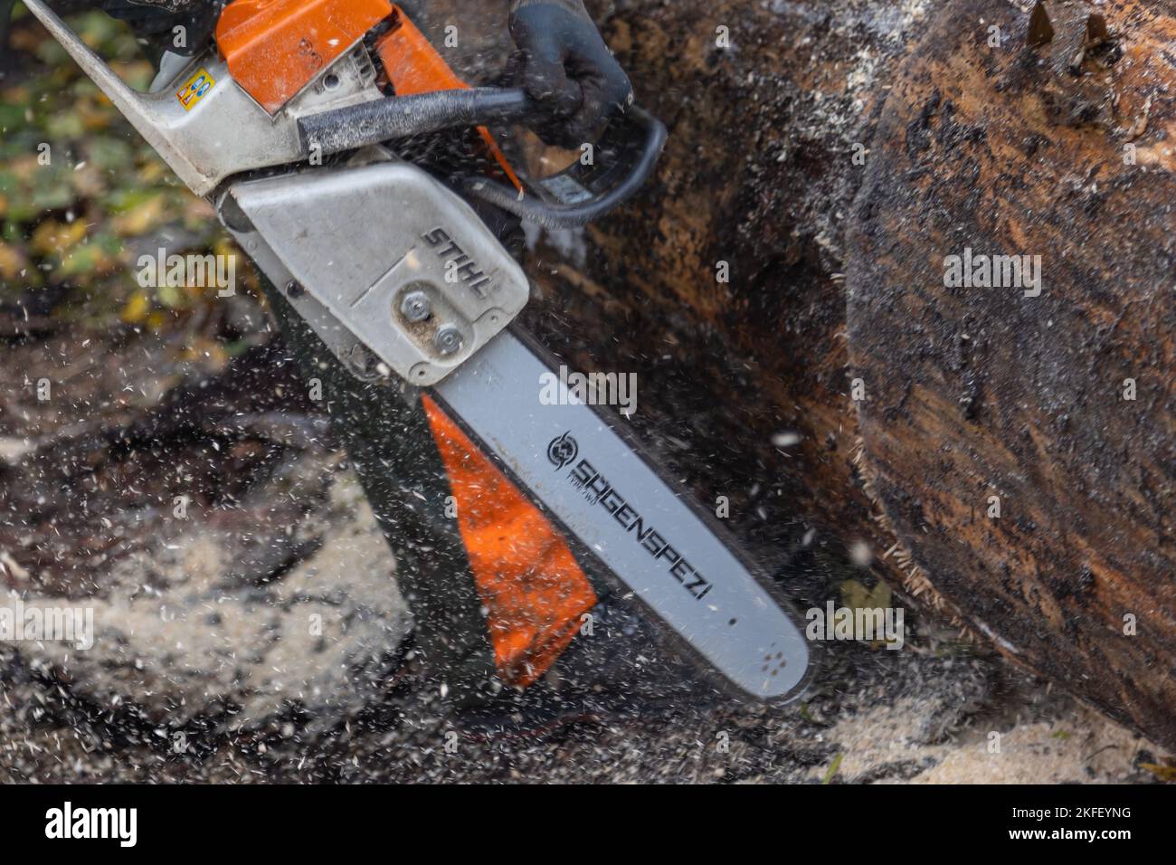 A Stihl chain saw used to cut through a tree trunk. Stihl is a German ...