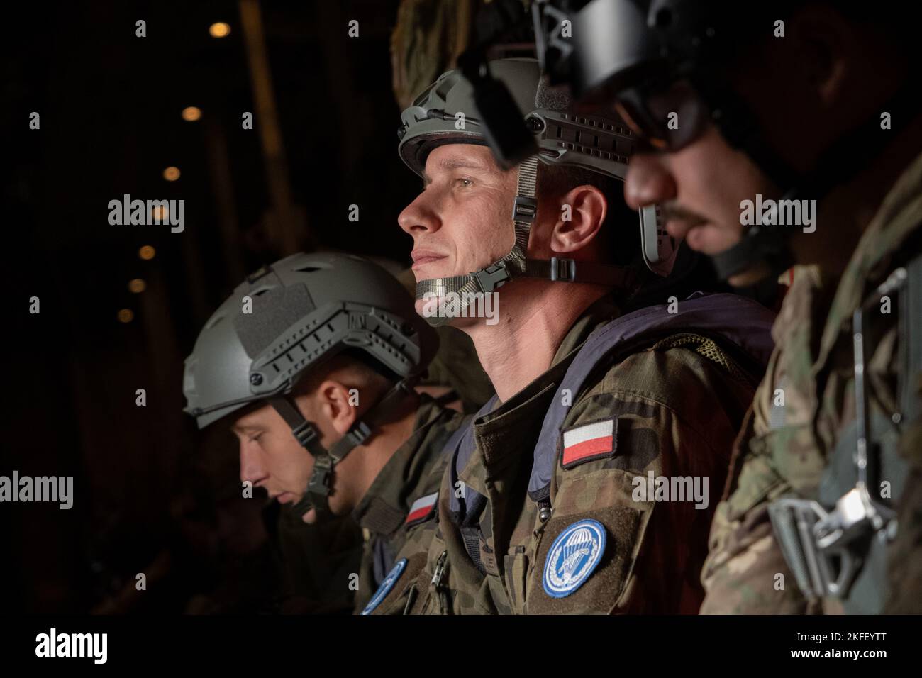 Polish land force hi-res stock photography and images - Alamy