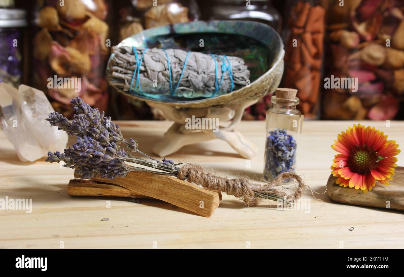 Dried Lavender With Palo Santo Wood and Abalone Shell For Smudging ...