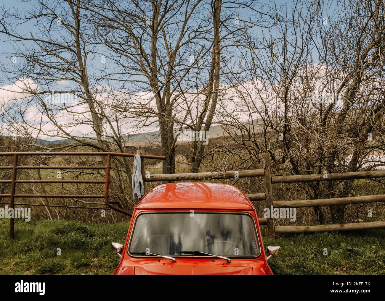 Leafless trees in the field with a red car roof Stock Photo - Alamy