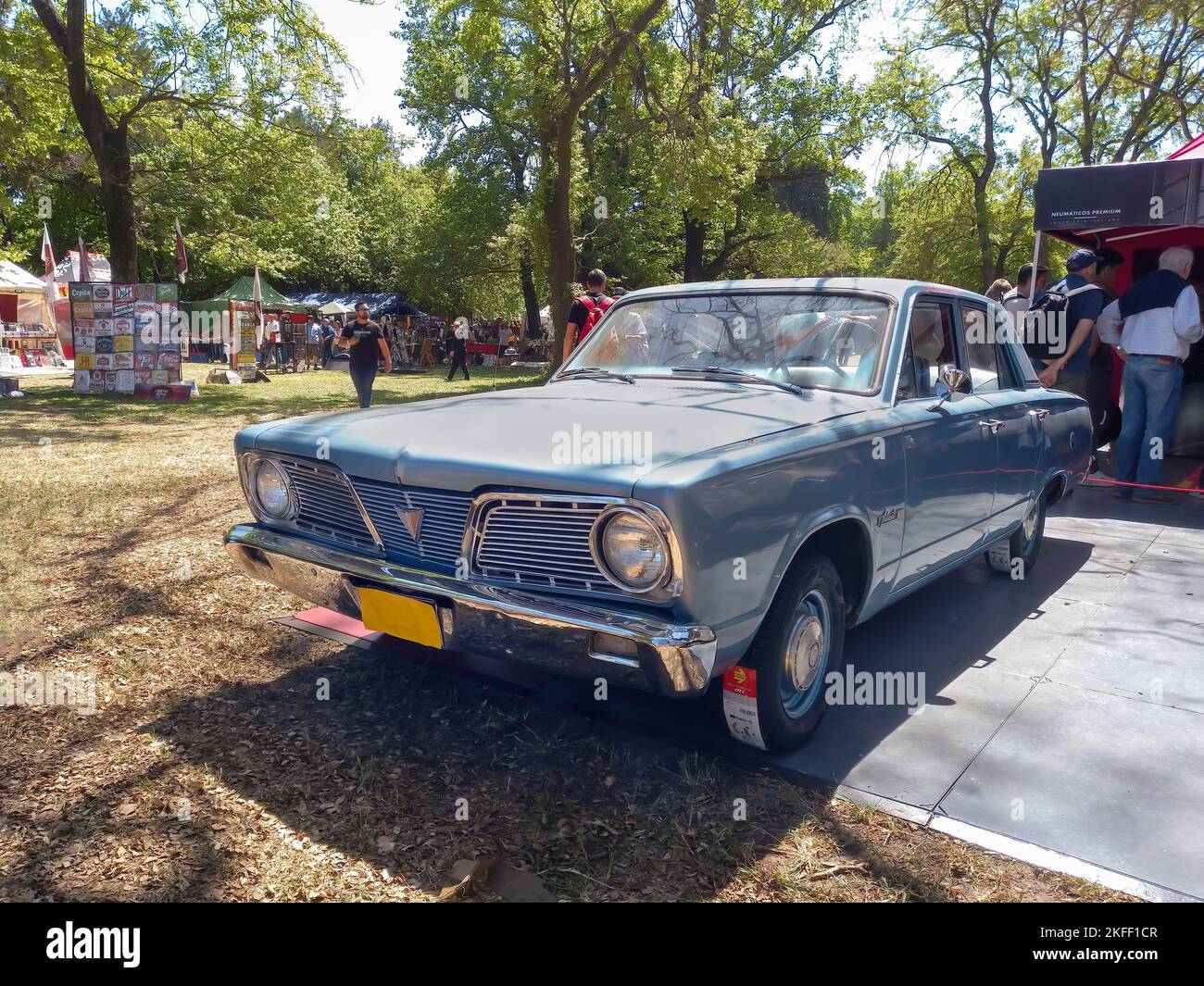 old sky blue 1960s Valiant compact four door sedan in a park. Nature ...