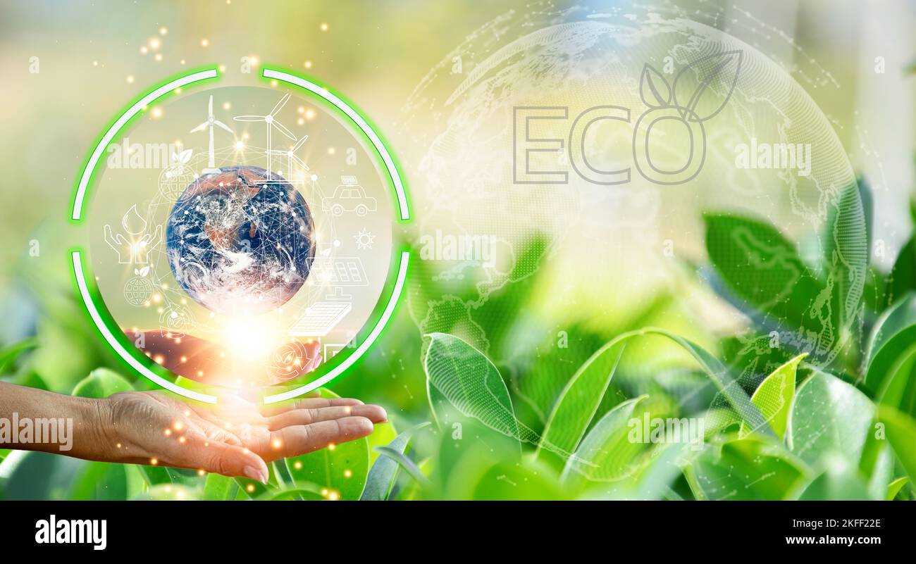 Concept, green world and campaign The use of clean energy, clean energy ...