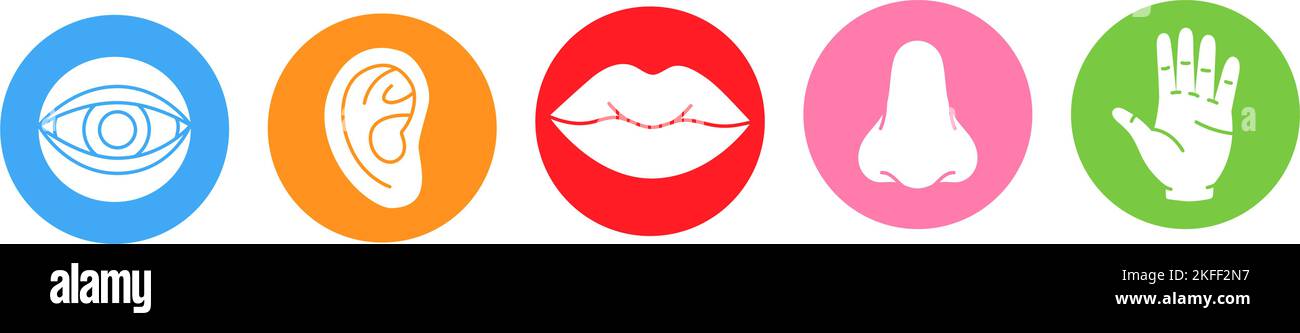 Five human senses. Vision, smell, hearing, touch, taste icons. Vector ...