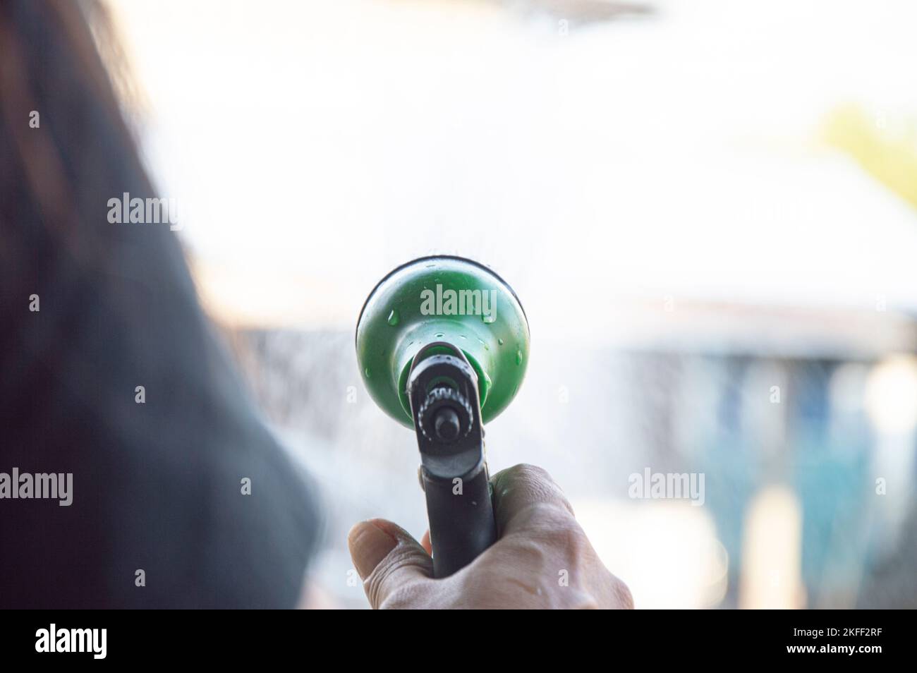 Picture of a gardener using water spray to water the plants Stock Photo ...