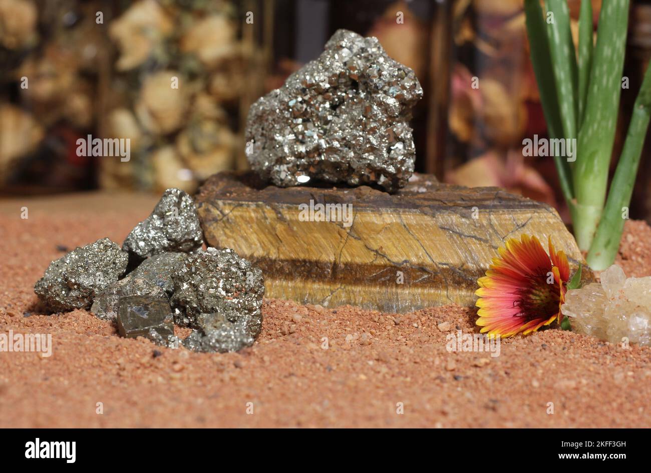 Flower With Pyrite Rocks and Crystals on Australian Red Sand Stock ...