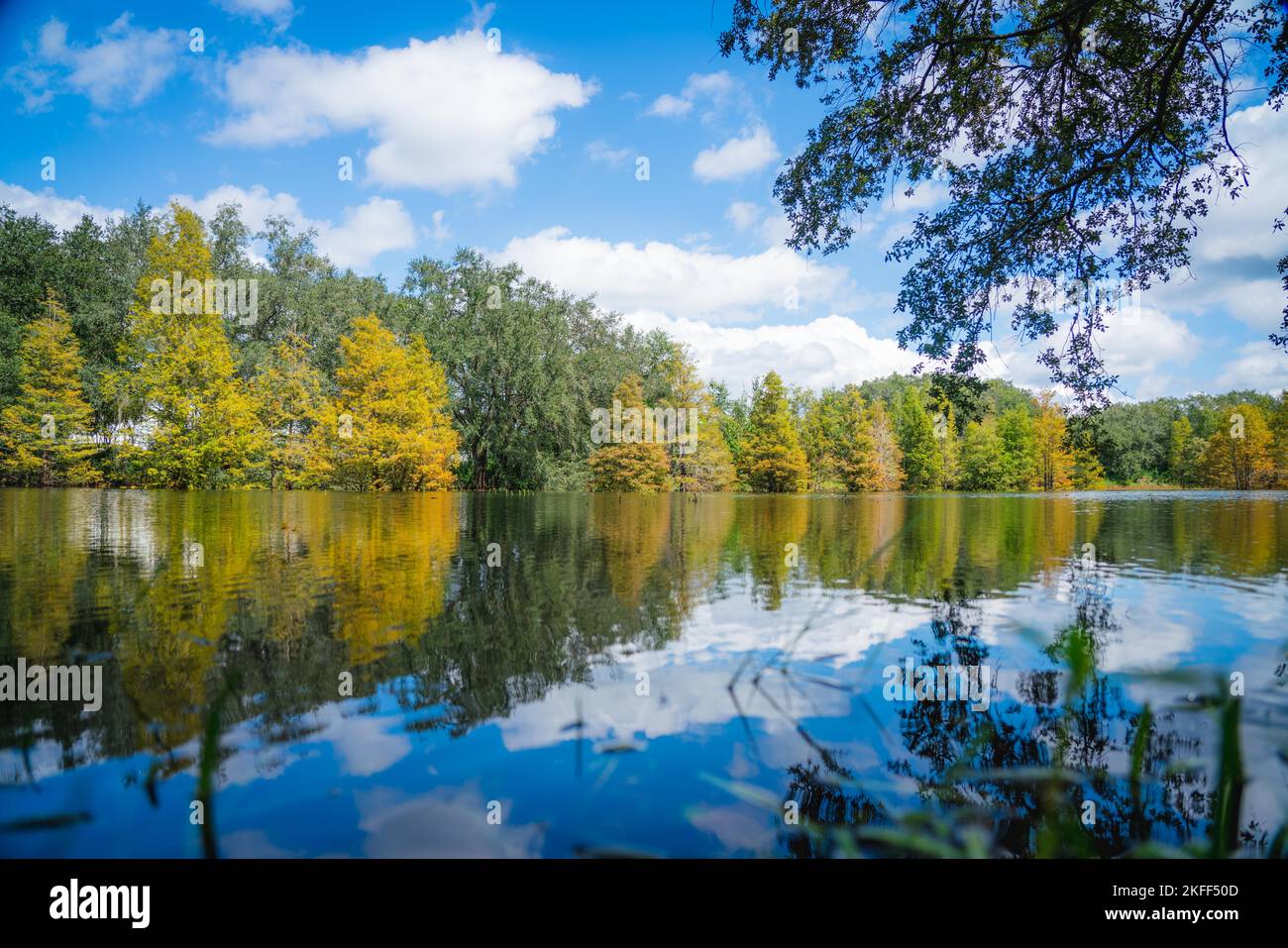 A beautiful shot of a lake with yellow trees reflection Stock Photo - Alamy
