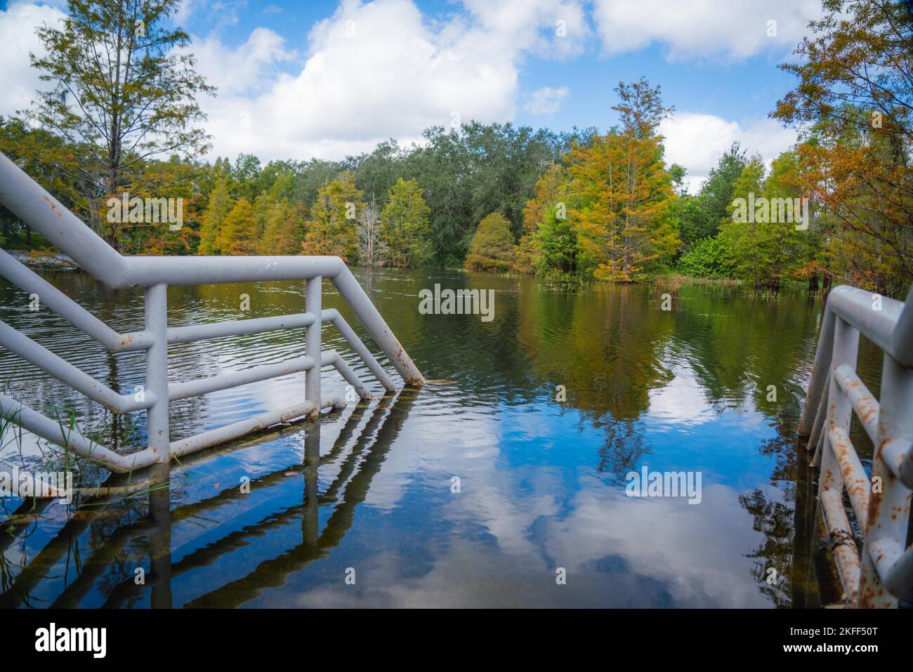 A beautiful shot of a lake with yellow trees reflection Stock Photo - Alamy
