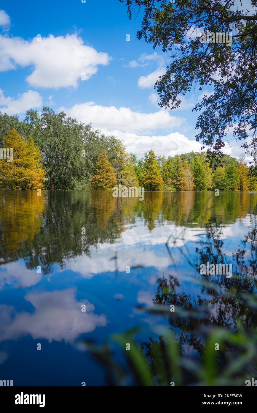 A beautiful shot of a lake with yellow trees reflection Stock Photo - Alamy