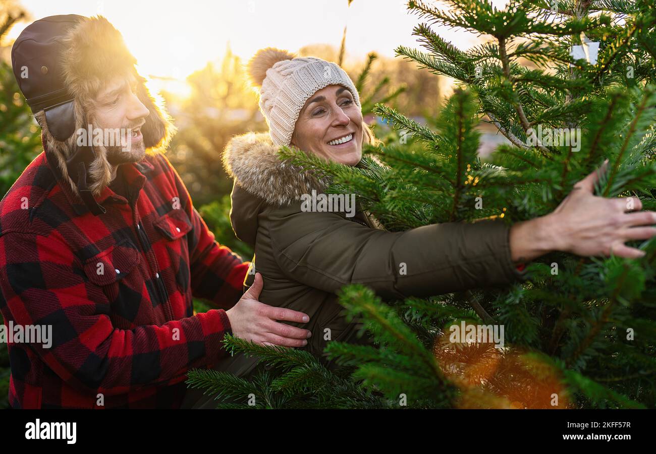 Hugging a pine tree hi-res stock photography and images - Alamy