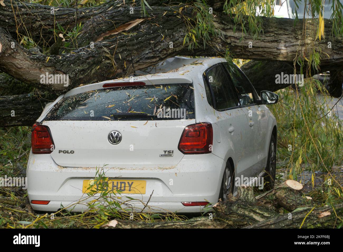 Car fallen tree hi-res stock photography and images - Alamy