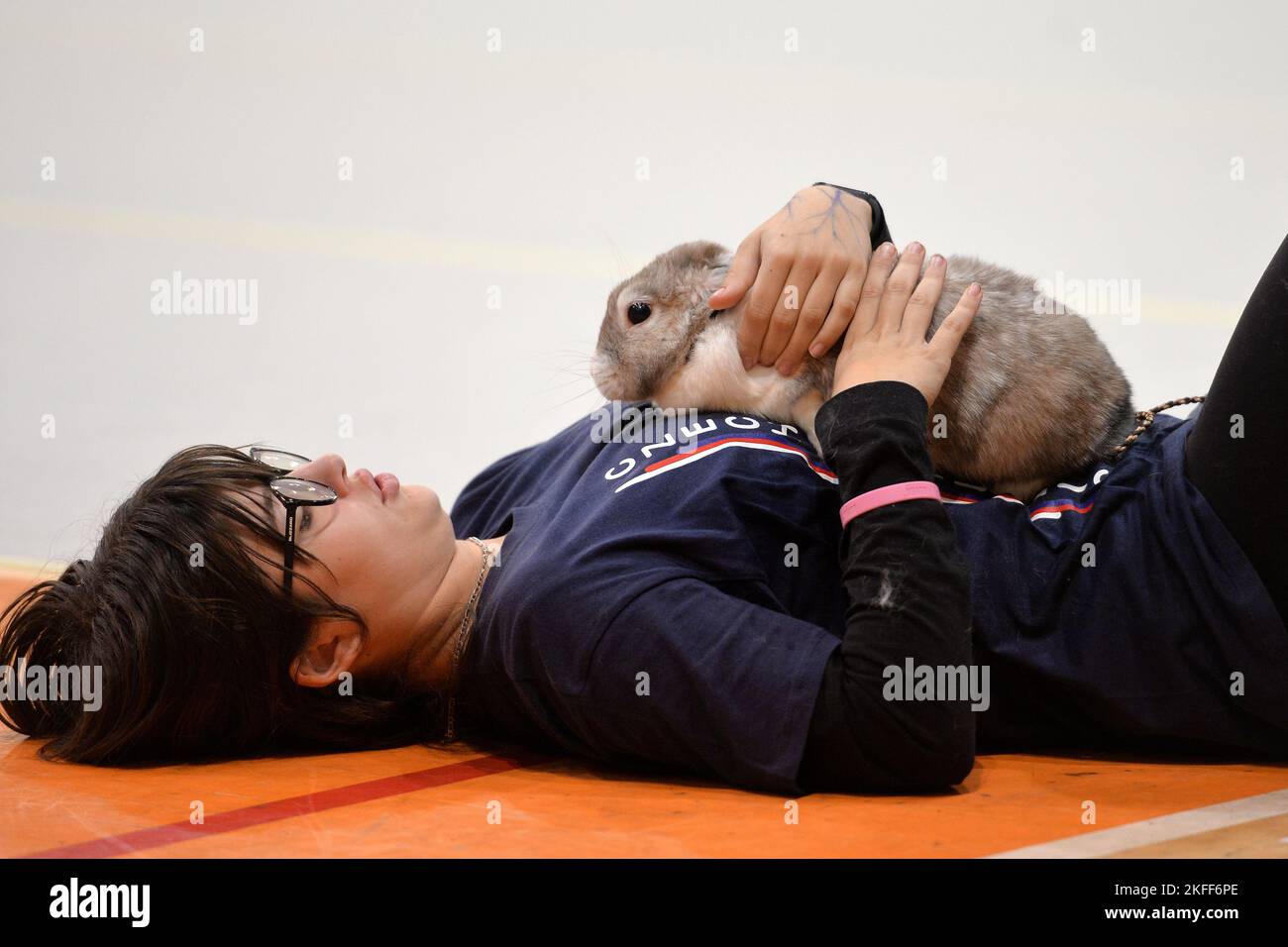 European rabbit hop championships 2022 hi-res stock photography and ...