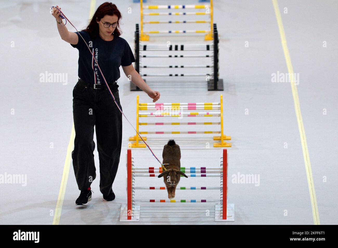 European rabbit hop championships 2022 hi-res stock photography and ...
