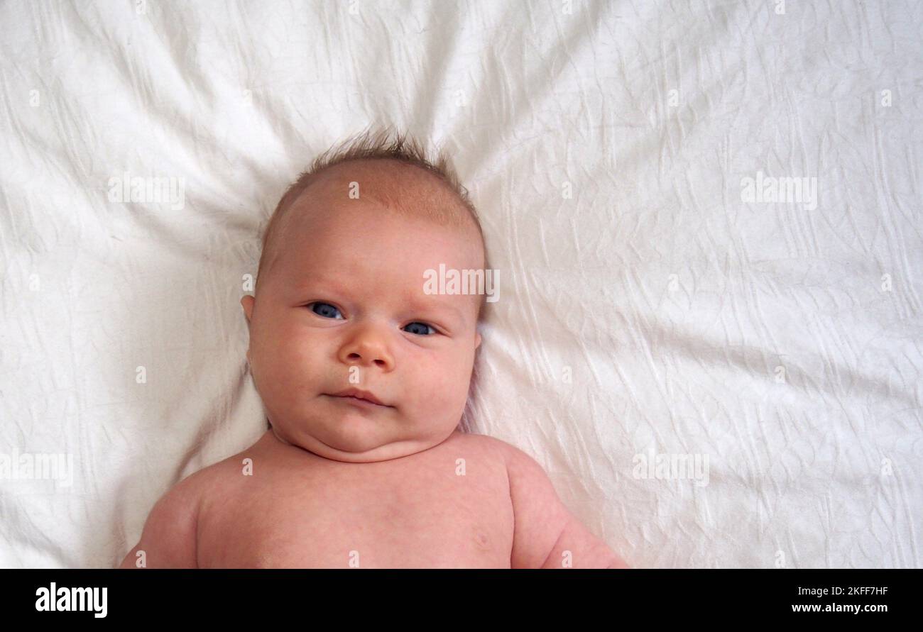 Closeup portrait of cute chubby baby Stock Photo - Alamy