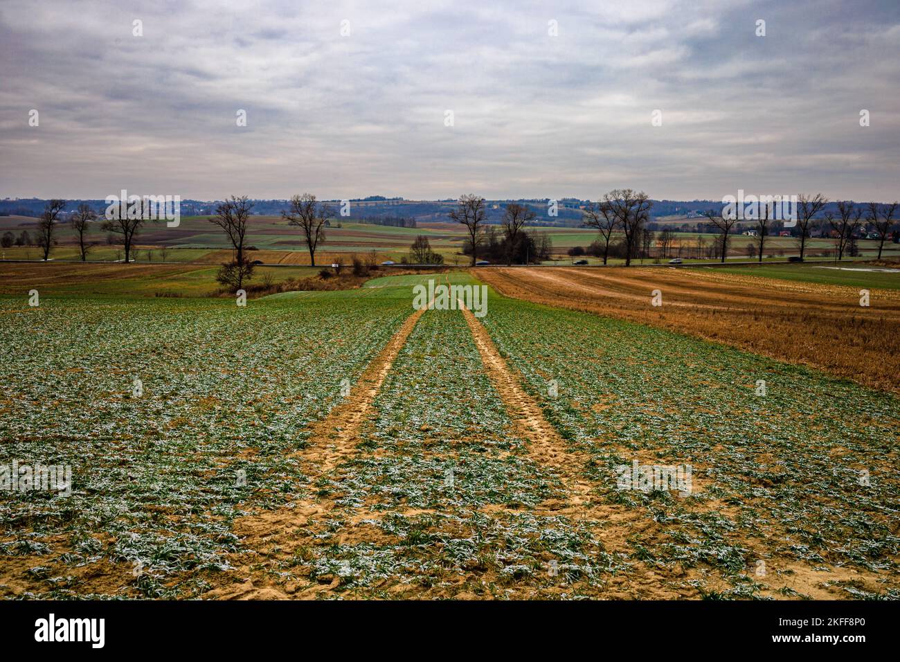 The green field with the leafless trees and cloudy sky in the ...