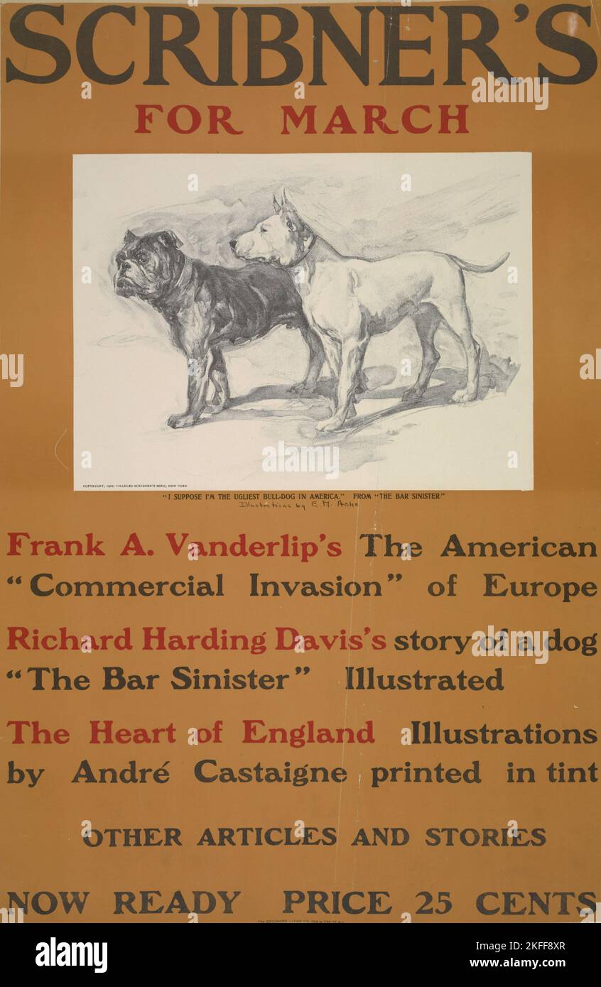 Ashe em hi-res stock photography and images - Alamy