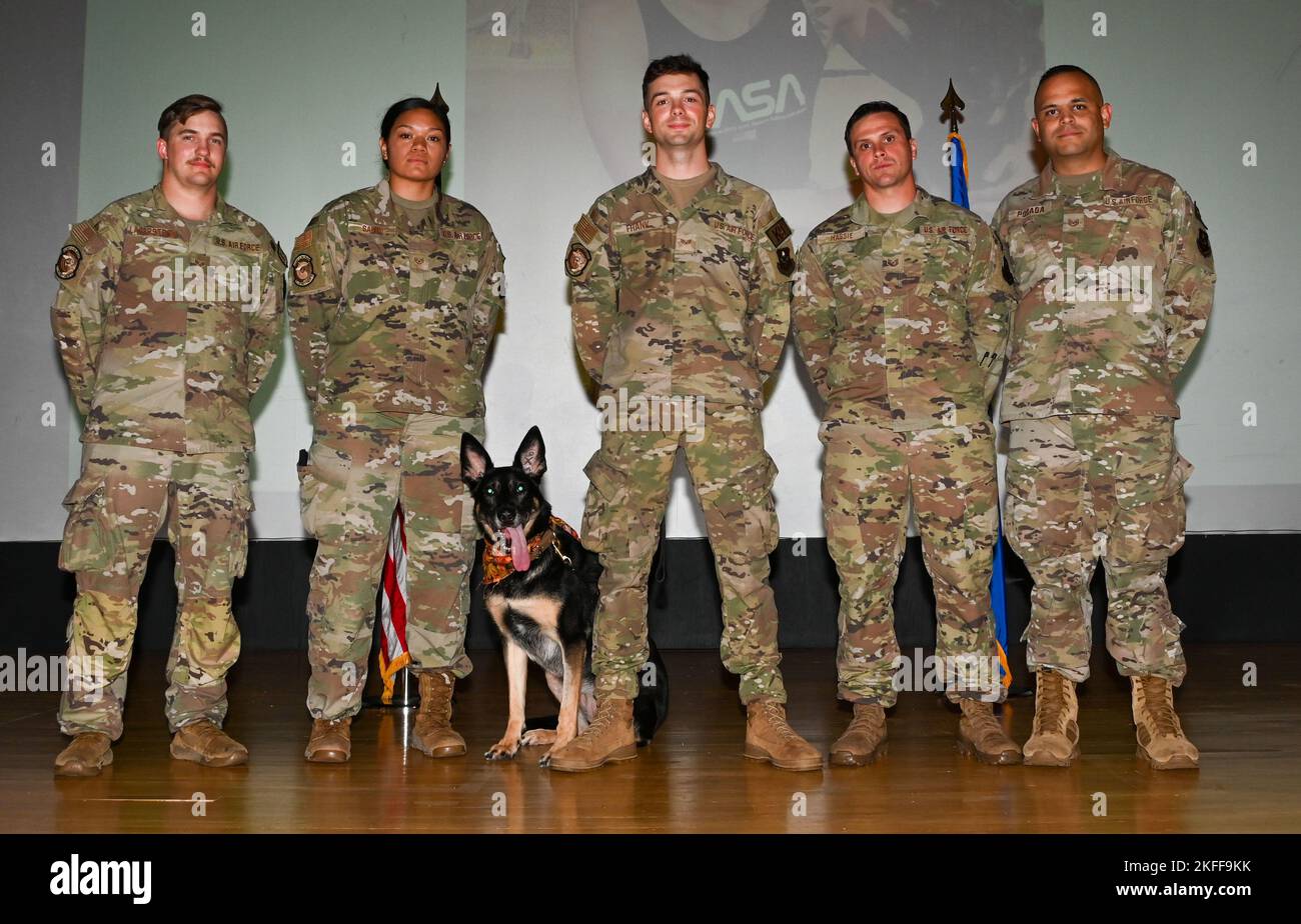 97 sfs hi-res stock photography and images - Alamy