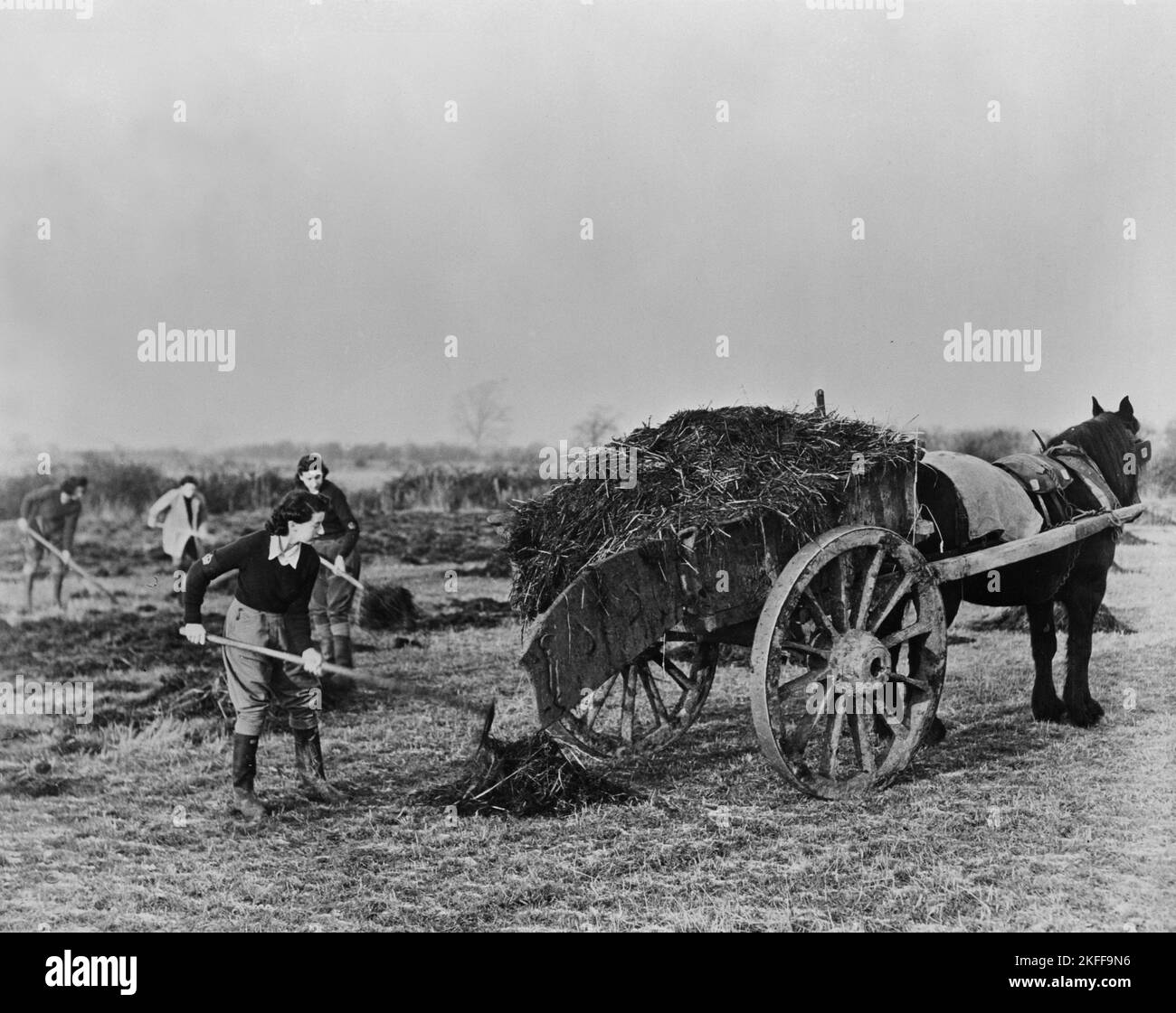 Vintage photo circa April 1943 of unidentified British women working on ...