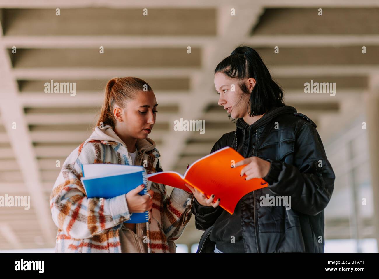 Two students studying together. The brunette girl is trying to explain ...