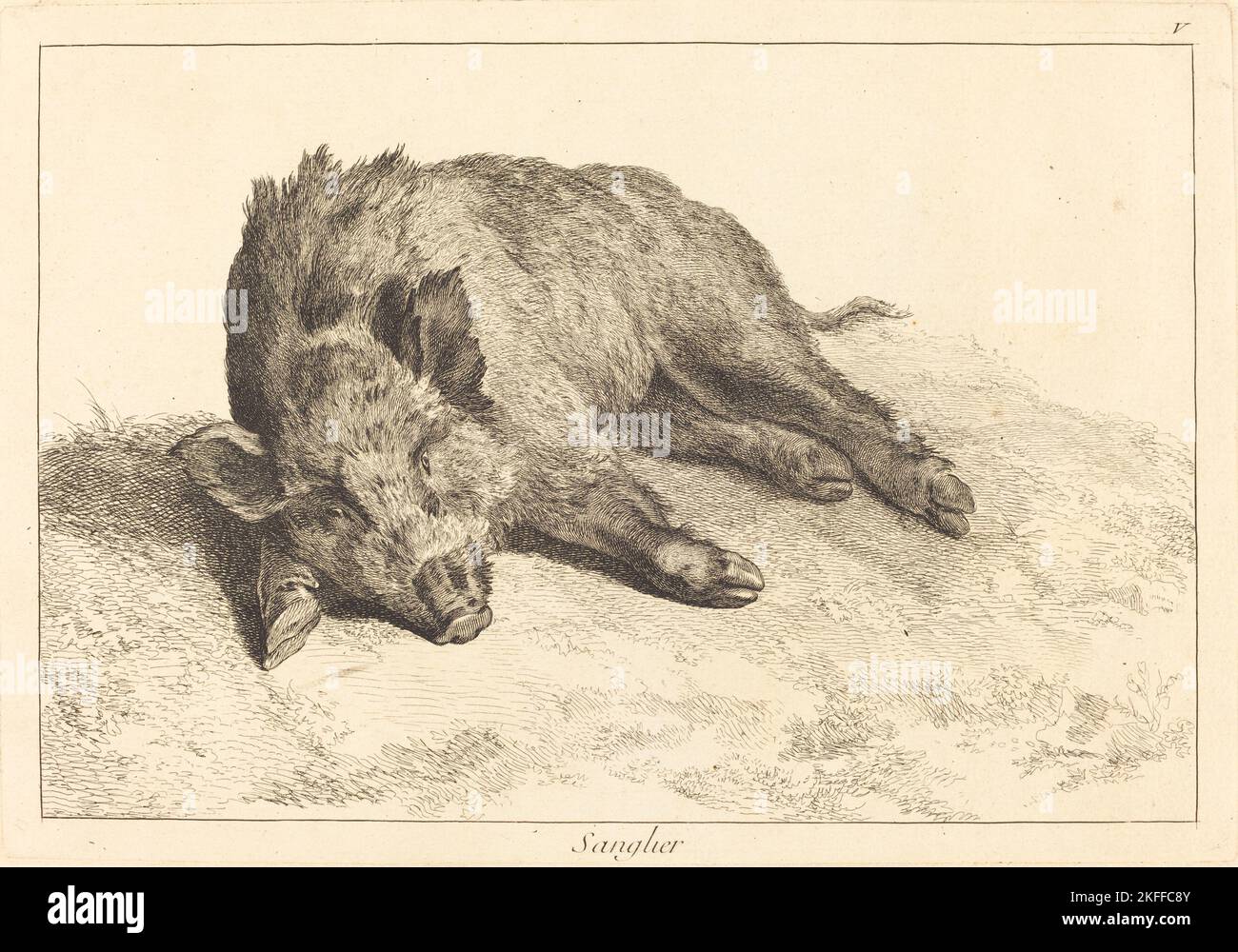 Wild jean jacques hi-res stock photography and images - Alamy