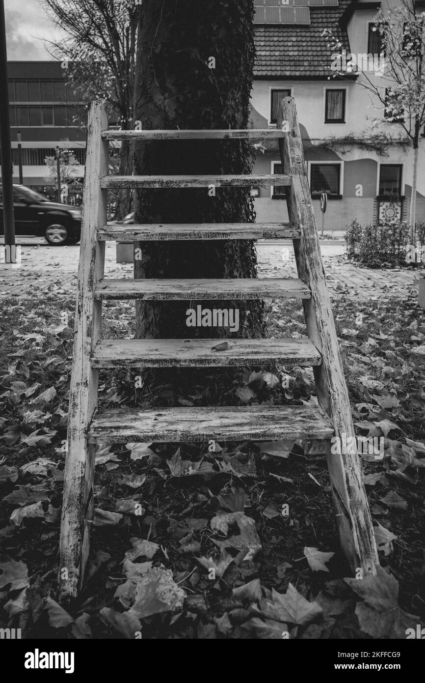 Old wooden ladder tree trunk hi-res stock photography and images - Alamy