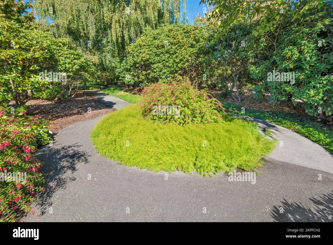 Pathway through the park hi-res stock photography and images - Alamy