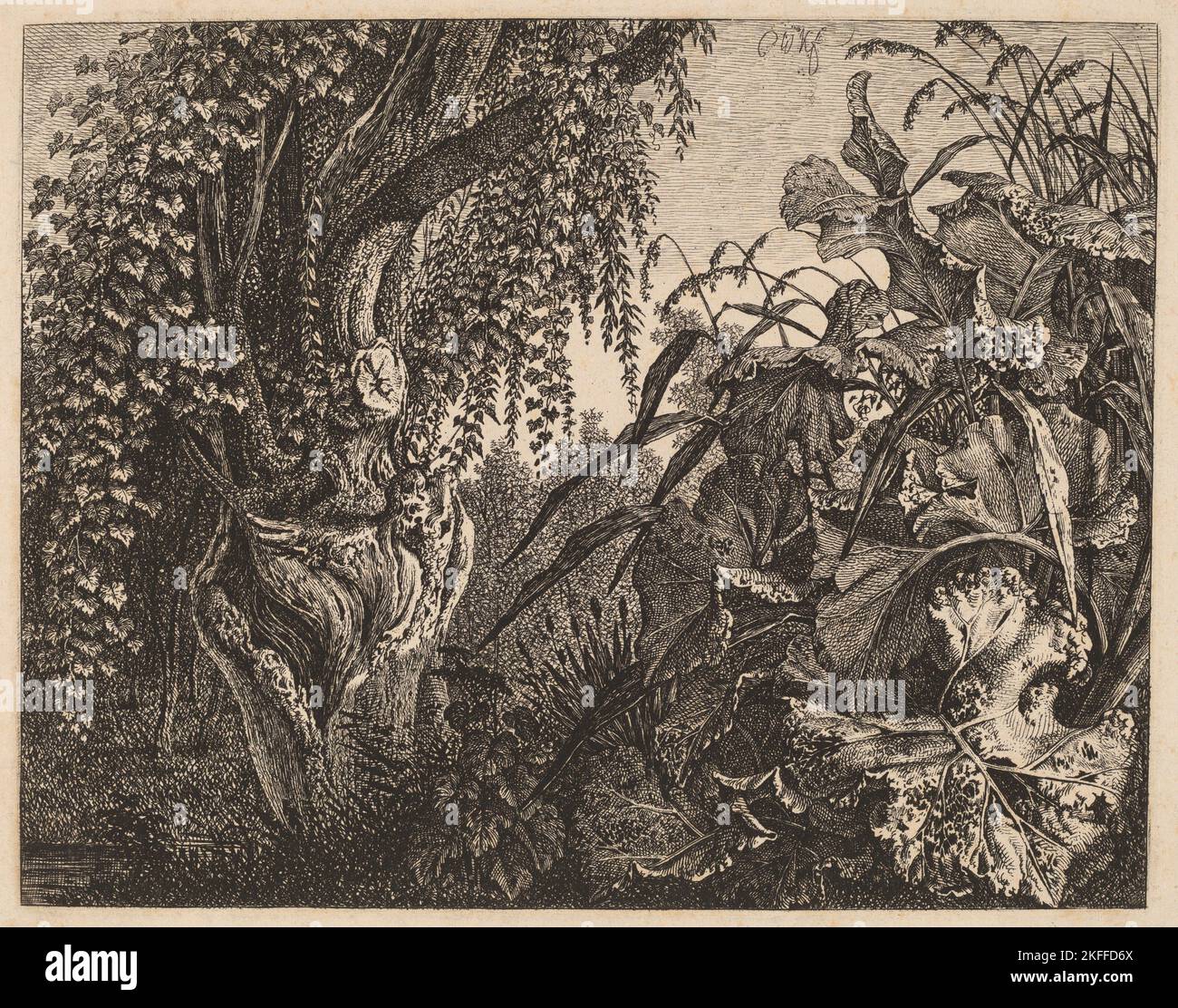 Exhibition the thicket hi-res stock photography and images - Alamy