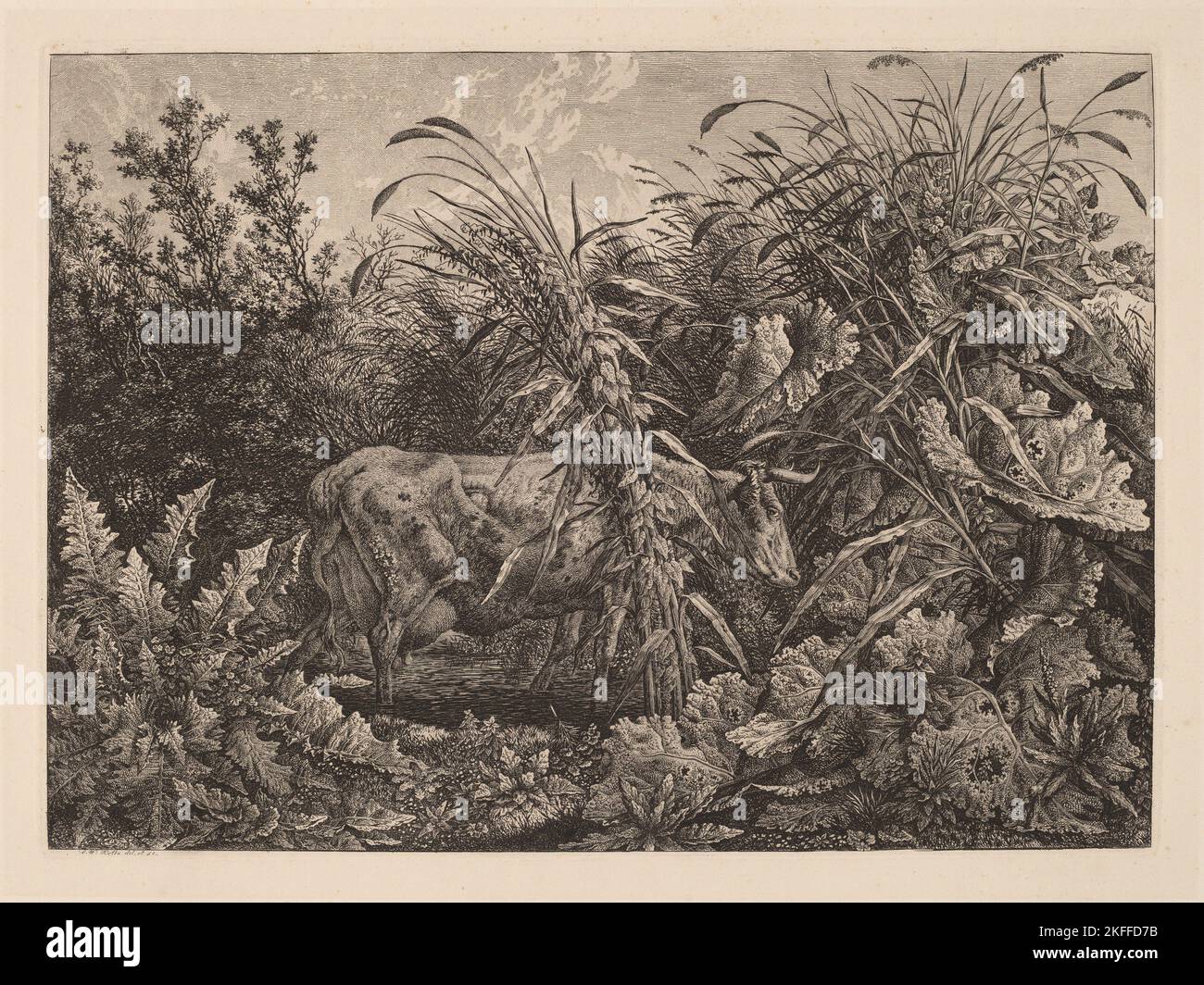 The Cow in the Swamp, 1800/1803 Stock Photo - Alamy