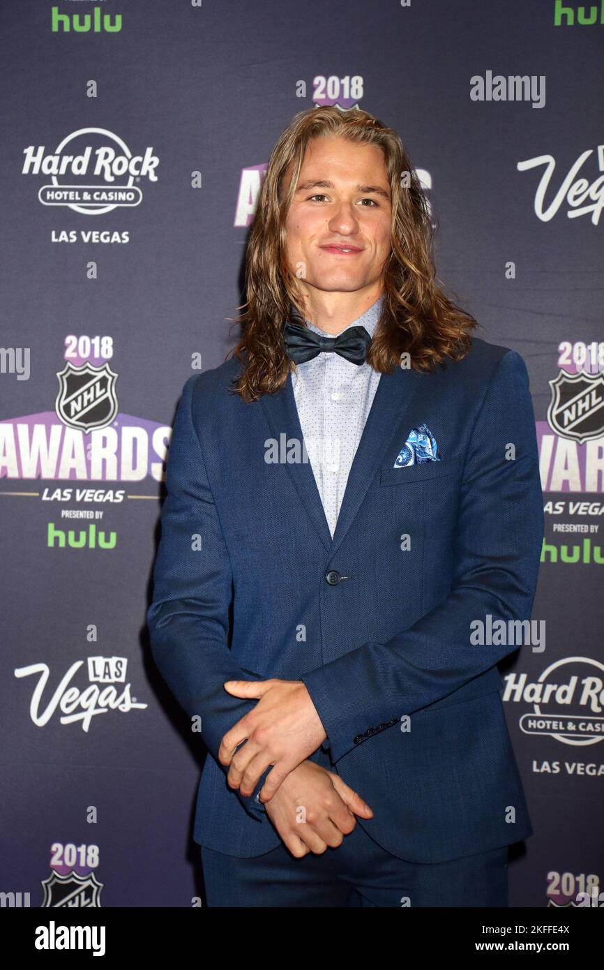 Dylan Playfair attending the 2018 NHL Awards at the Hard Rock Hotel ...