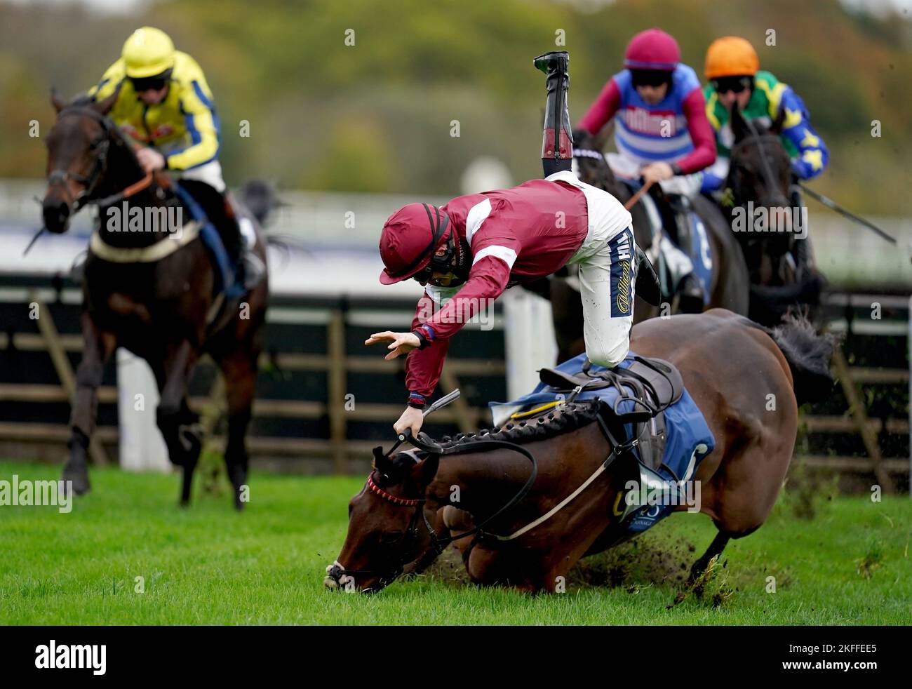 Master chewy horse hi-res stock photography and images - Alamy
