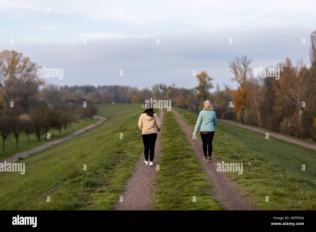 A back view of a pair of female friends walking in a park in the ...
