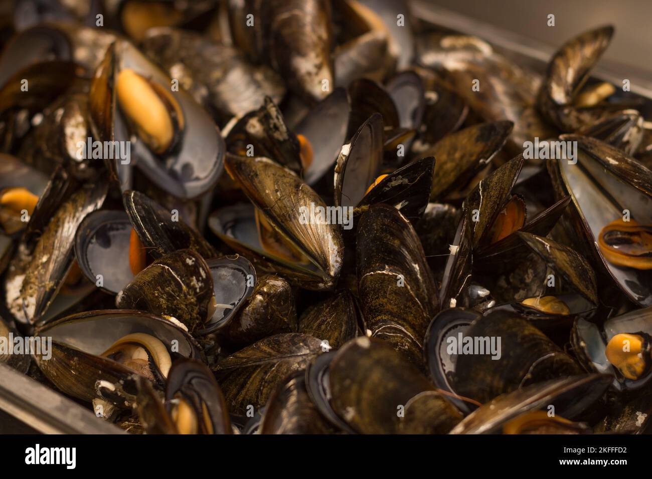 Close up on cooked mussels inside an industrial kitchen, no people are ...
