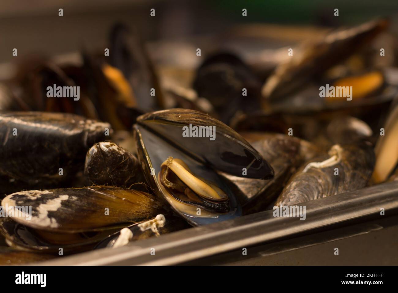 Close up on cooked mussels inside an industrial kitchen, no people are ...