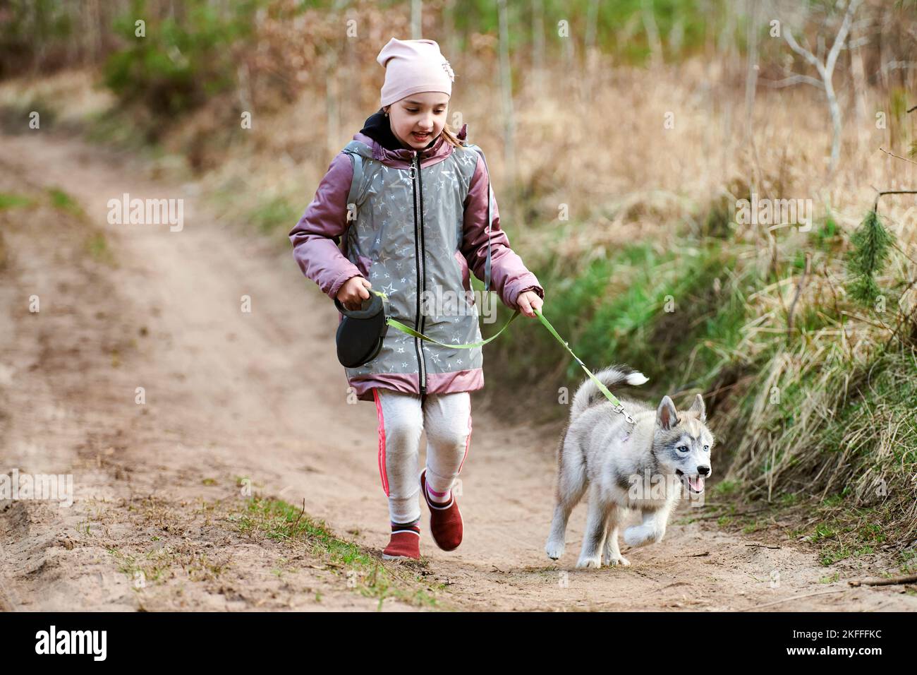 Girl walking on leash Siberian Husky puppy on country road at forest ...