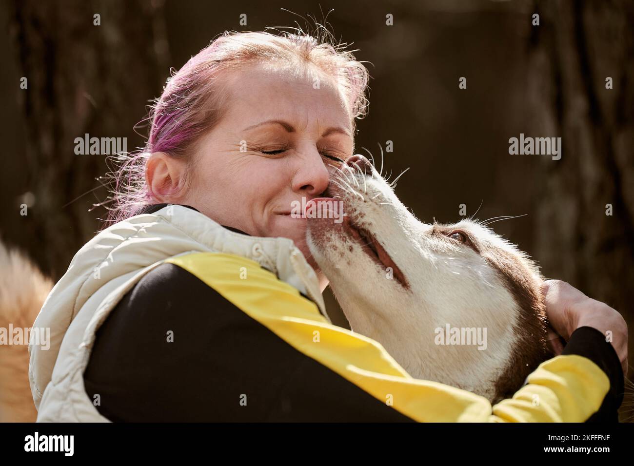 Siberian Husky dog kissing woman with pink hair, true love of human and ...
