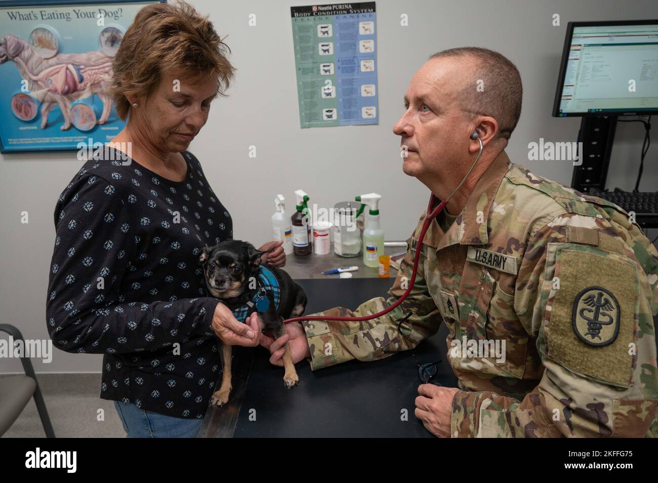 Army Sgt 1st Class Jikson Muñoz, Army Animal Care Specialist, checks ...